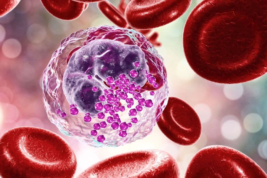 LifeArc invests £1.5 million in Ducentis BioTherapeutics - LifeArc LifeArc invests £1.5 million in Ducentis BioTherapeutics - LifeArc