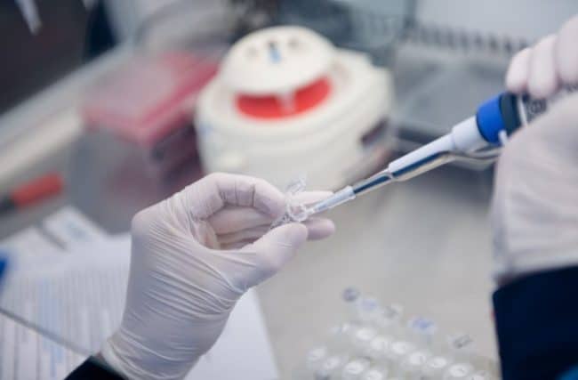 Kymab and LifeArc enter strategic partnership to discover new medicines ...