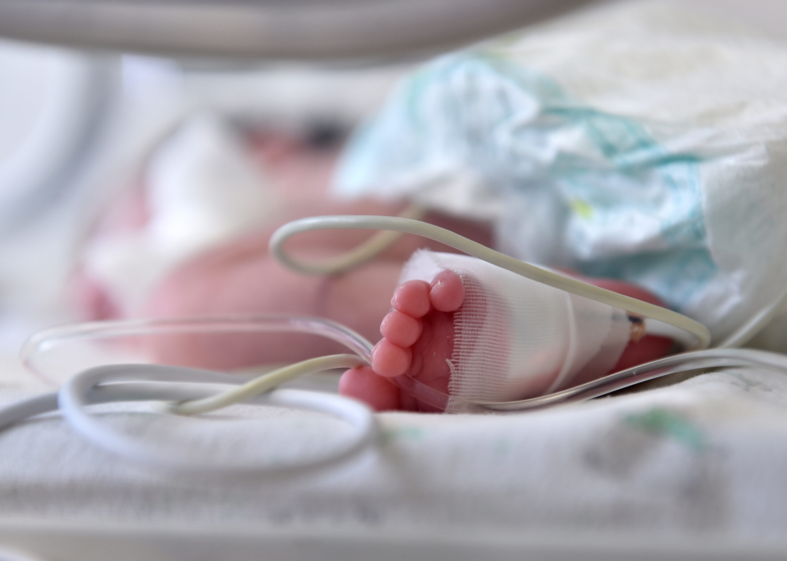 The Newborn Survival Prize: A partnership to combat neonatal sepsis ...
