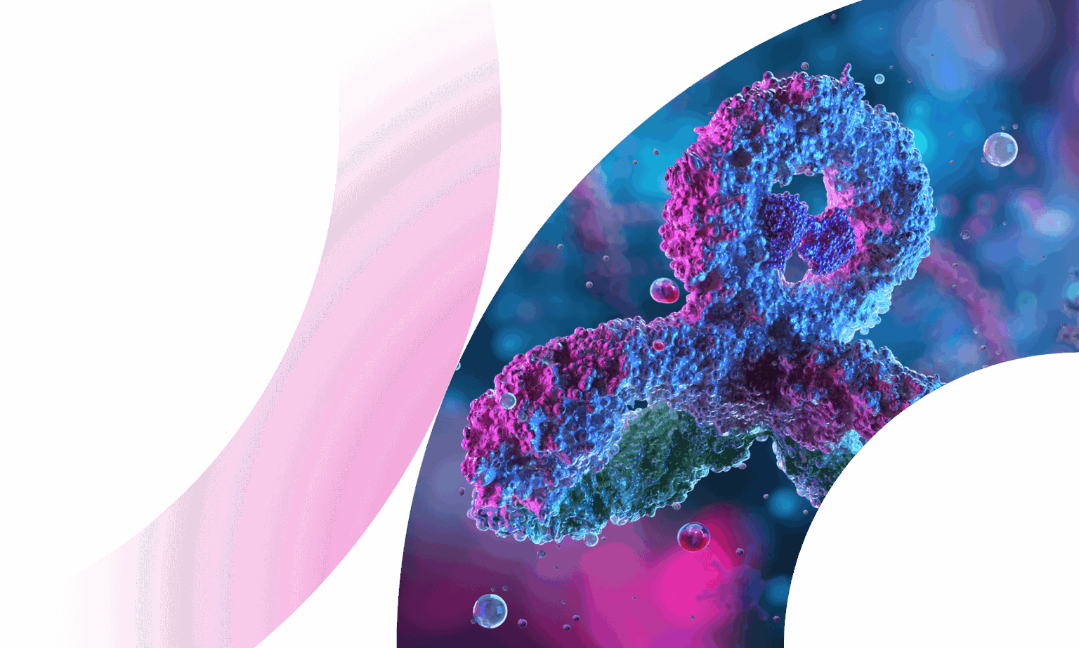 Antibody development - LifeArc