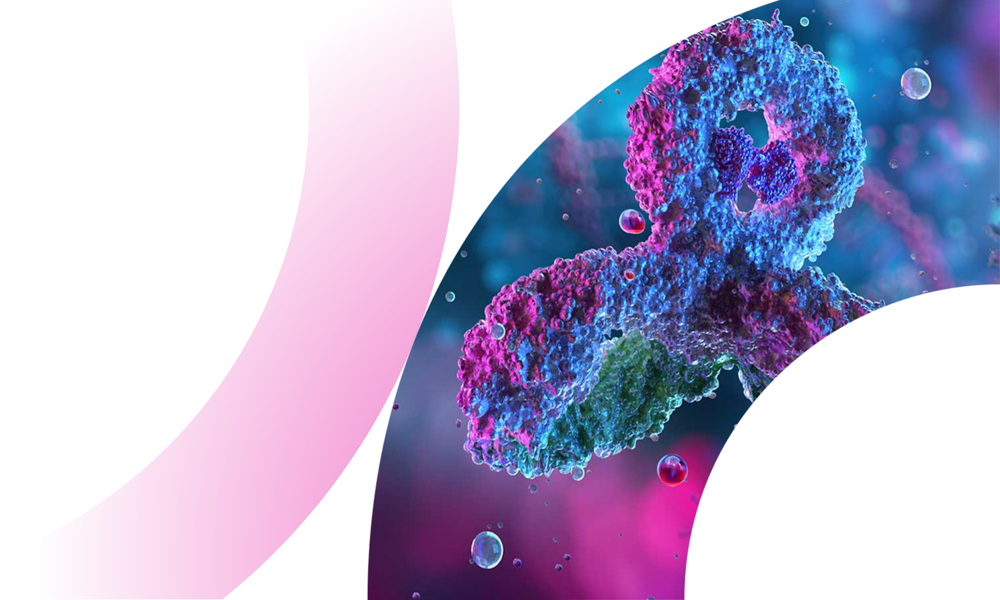 Antibody development - LifeArc