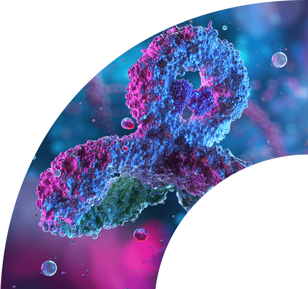 Antibody development - LifeArc
