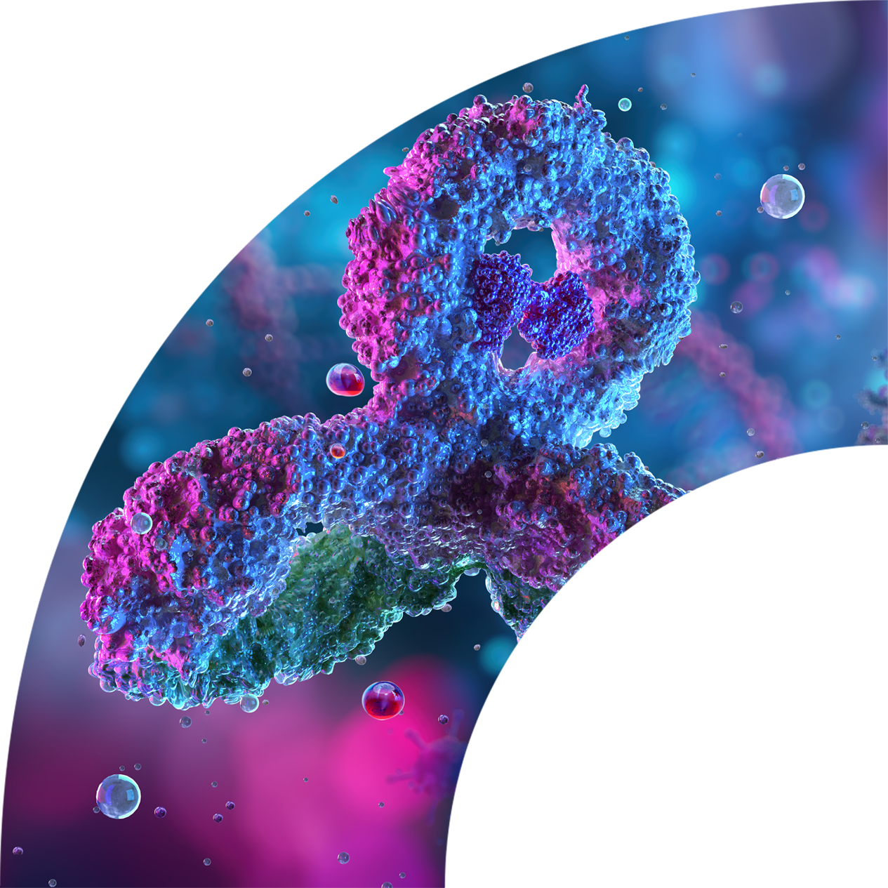 Antibody development - LifeArc